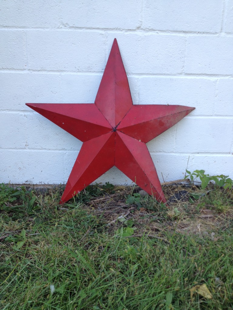 Finding the Barn Star » Northern Virginia Barn Wedding Venue | 48 ...