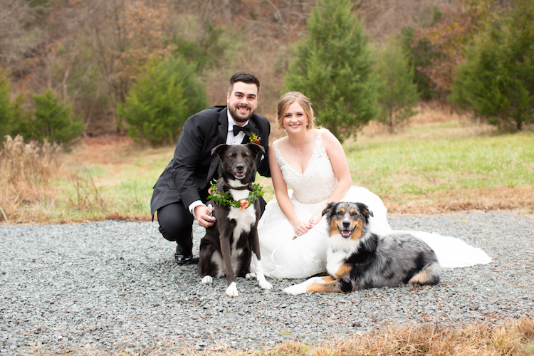 How to Include Your Dog or Other Pets in Your Wedding » Northern ...